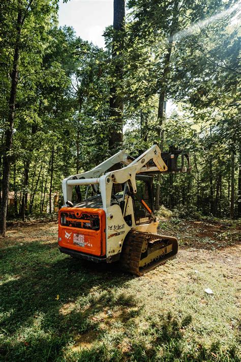 Tree Service Knoxville 865 806 7320 East TN Tree Service Inc