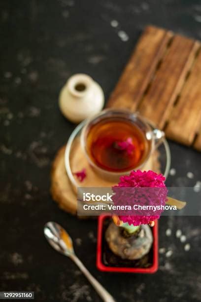 검은 색 배경에 봄 히아신스 꽃이있는 투명한 컵에 차 한 잔 머그잔은 나무 프레임 위에 서 있으며 그 옆에는 금속 숟가락과 흰 꽃병이 있습니다 복사 공간 0명에 대한 스톡