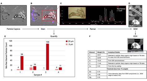 Multimodal Analysis Of Microplastics In Drinking Water Using A Silicon
