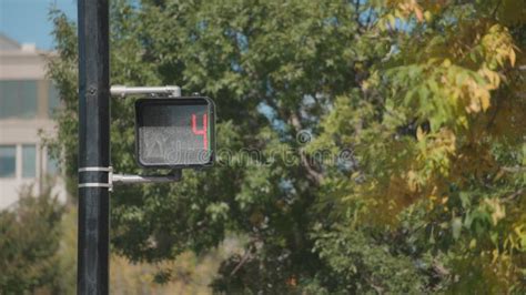 Pedestrian Light Countdown Time Stock Footage Video Of Stoplight