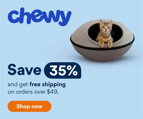 How Much Catnip Can I Give My Cat Vet Reviewed Facts And Faq Catster