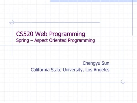 Cs520 Web Programming Spring Aspect Oriented Programming Ppt Download