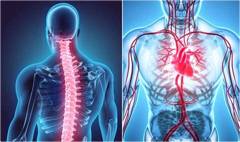Dom Zdravlja Doboj Nove Usluge Iz Oblasti Neurohirurgije I Vaskularne Hirurgije ⋆