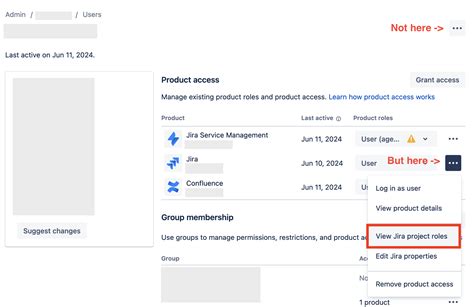 Solved How To See The Project Roles From A User In Jira C