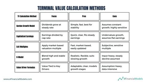 How To Calculate Terminal Value In Excel Efinancialmodels