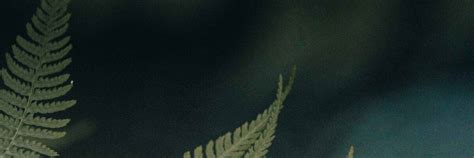 Predicting And Assessing Progress In The Restoration Of Ecosystems