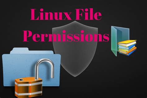 Day 6 — File Permissions And Access Control Lists By Varinder Singh Medium