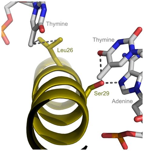 Pymol The Pymol Molecular Graphics System 2006 Delano Scientific Llc Download Scientific