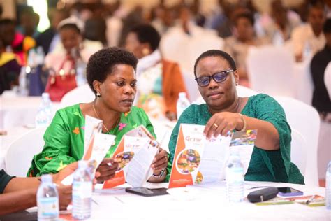 Program Management Support Policy Innovation And Evidence Generation