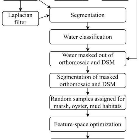 Workflow Diagram Detailing Imagery And Geographic Object Based Image Download Scientific