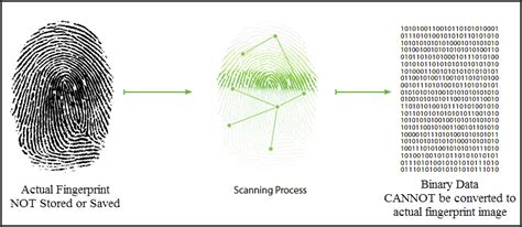 Time And Attendance Software Which Works With Biometric Time Clock To Eliminate Buddy Punching