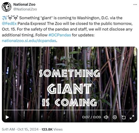 중국에서 판다 오고 있다···미중 갈등 와중에도 워싱턴 들썩들썩