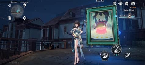 Occurence Using Ruan Mei R Honkaistarrail