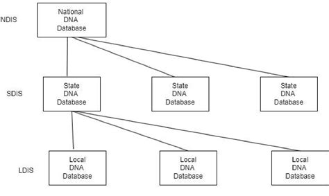 Figure 2 From A Survey On Deep Learning Approaches Used In Genomics Semantic Scholar
