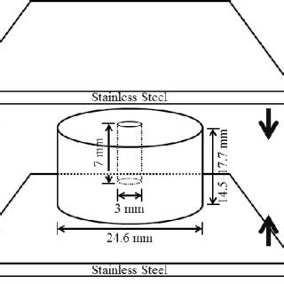 The Schematic Design Of The Specimens For X Ray CT Images Download Scientific Diagram
