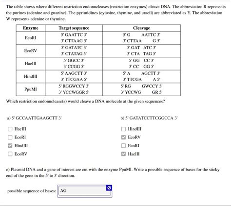 Solved The Table Shows Where Different Restriction Endonucleases Restriction Enzymes Cleave
