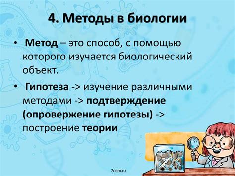 Курс подготовки к ОГЭ по биологии - online presentation