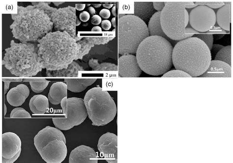 Sem Image Of Core Shell Particles Of Pmma Pani Cho Et Al 2003 A