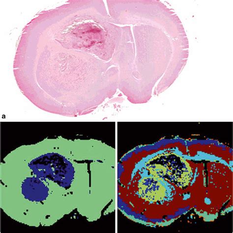 Scheme Of An FtIR Microscope Download Scientific Diagram