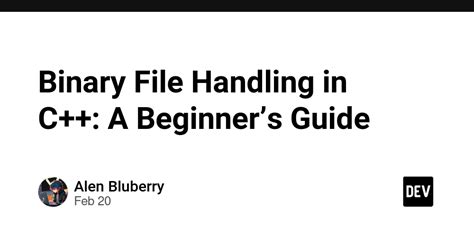 Binary File Handling In C A Beginners Guide Dev Community