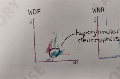 Clare Does Science March 2021