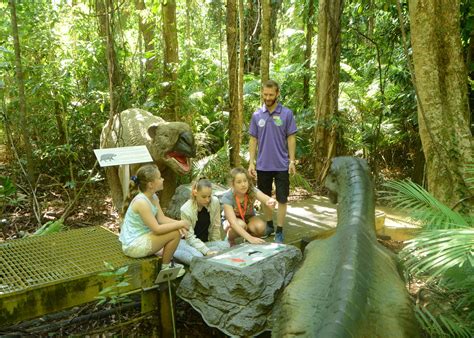Daintree Discovery Centre Visit Port Douglas Daintree