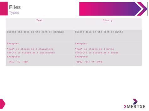 Python Programming Files Pdf