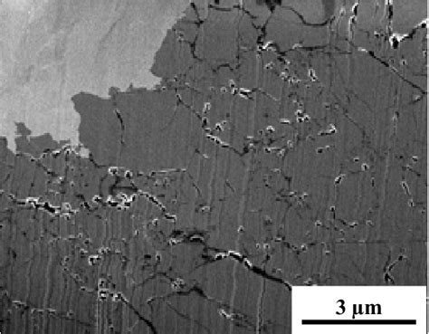 Microstructure Of The Siliconcarbide Matrix In Explosion Produced Sic Ti Download Scientific