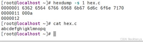 Hexdump命令 Csdn博客