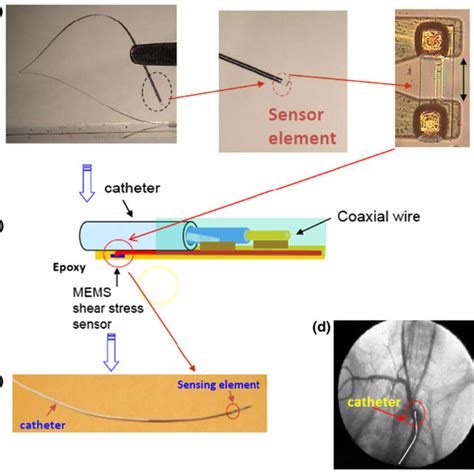 The MEMS Sensors A The Sensor Was Flexible The Dotted Circle At The Download Scientific
