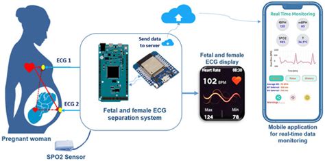 Bioengineering Free Full Text The Development And Implementation Of Innovative Blind Source