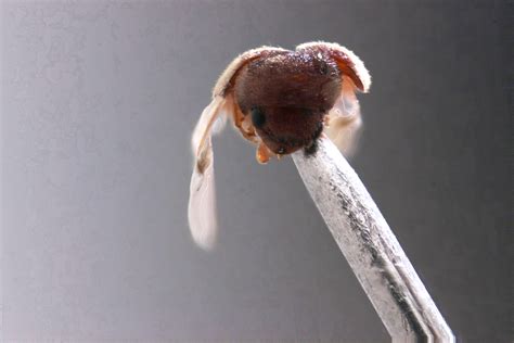 Arduino Macro Rail For Photography Experimental Blog Trying New Things