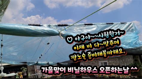 가을을 준비중~쉰나요♥ 하늘정원 비닐하우스 오픈~옥상하우스 옥상다육 오렌지에보니 Youtube