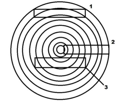 Determination Of Wood And Byproducts Elastic Moduli Sonelastic®