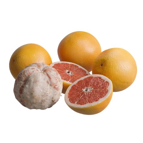 Sketchup Free Models Poliigon