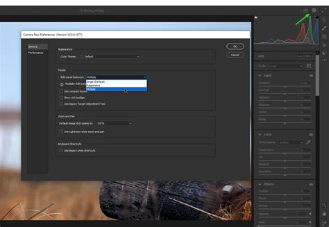 Solved Camera Raw 160 Interface Adobe Community 14154709