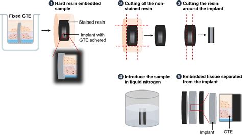 Nanostructured Implant Tissue Interface Assessment Using A Three