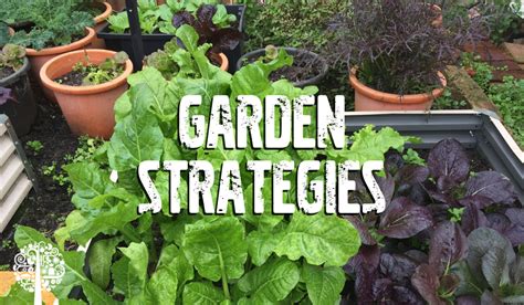 Gardening In Changing Weather Conditions GCM