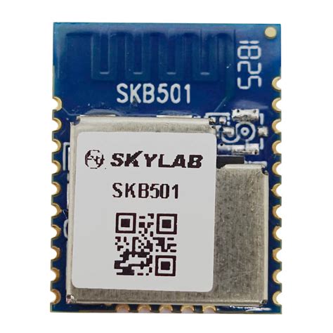 Applications Of Wifi Module Skylab