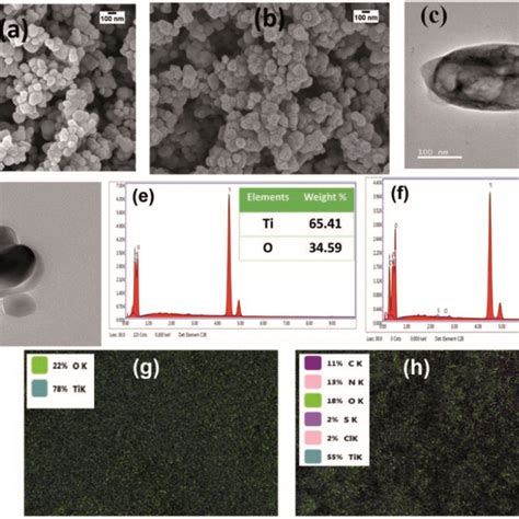 SEM Images Of A TiO2 And B PANITiO2 TEM Images Of PANITiO2 C