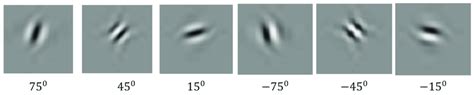 complex filter responses download scientific diagram