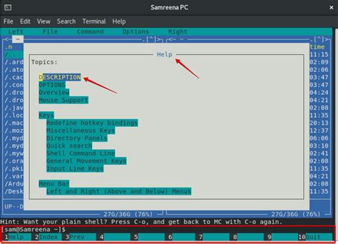 Linux Beginners Manage Files Using The Terminal On Centos 8 Vitux