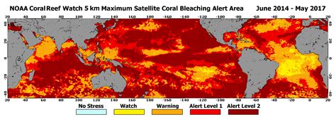 Global Coral Bleaching 2014 2017 Status And An Appeal For Observations