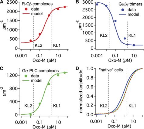 Comparison Of Model Predictions For Cells Overexpressing Fret Probes Download Scientific