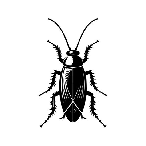Cockroach Bug Vector Icon Roach Silhouette Insect Black Icon