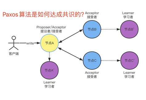 分布式算法 Paxos 运行机制详解 知乎