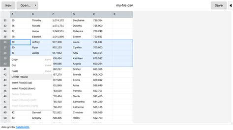 home datagridxl excel like javascript data grid