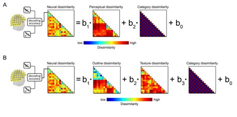 Representational Similarity Analysis A For The First Rsa At Each