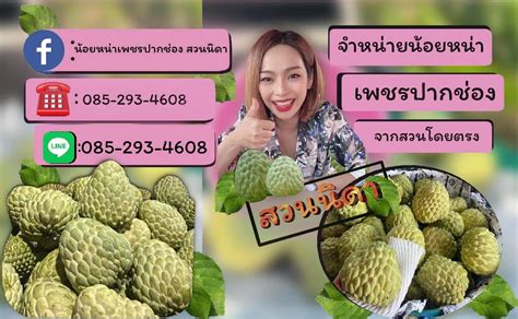 สติกเกอร์ สูญญากาศ สติ๊กเกอร์ป้ายภาษี สติ๊กเกอร์ติดรถยนต์ จัดส่งทั่วประเทศ สติกเกอร์