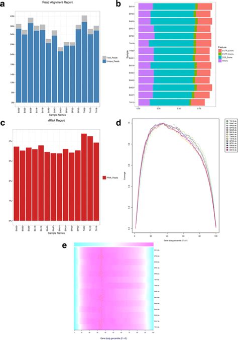 A Read Alignment Report Denoting The Number Of Mapped And Uniquely